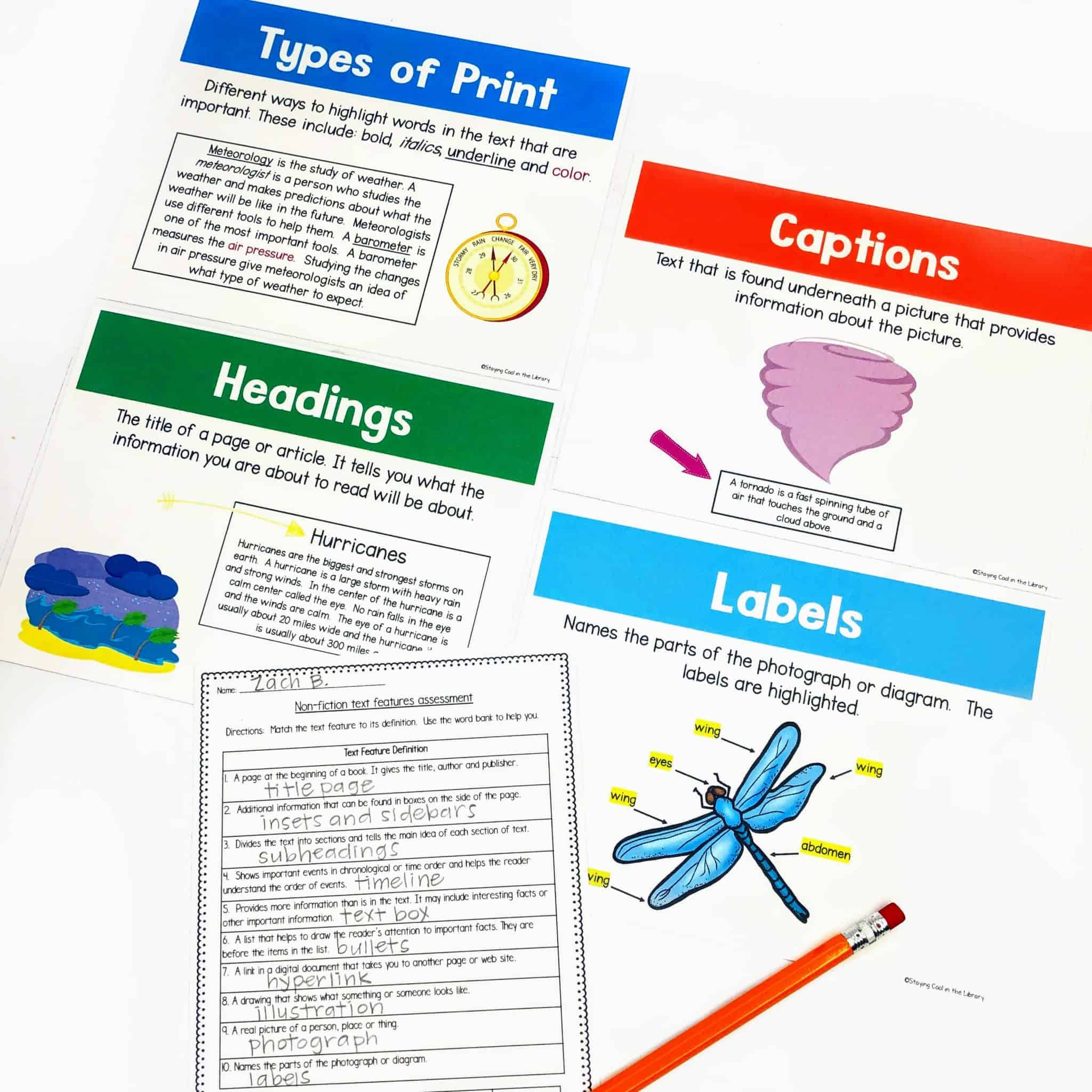 Nonfiction Text Features Activity Pack