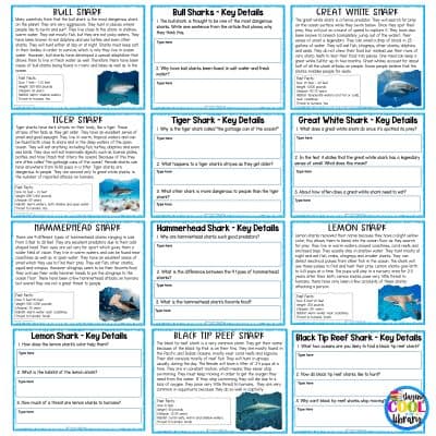 Sharks Digital Activities for Google Slides - Staying Cool in the Library