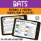 Bats Digital Activities for Google Slides - Staying Cool in the Library