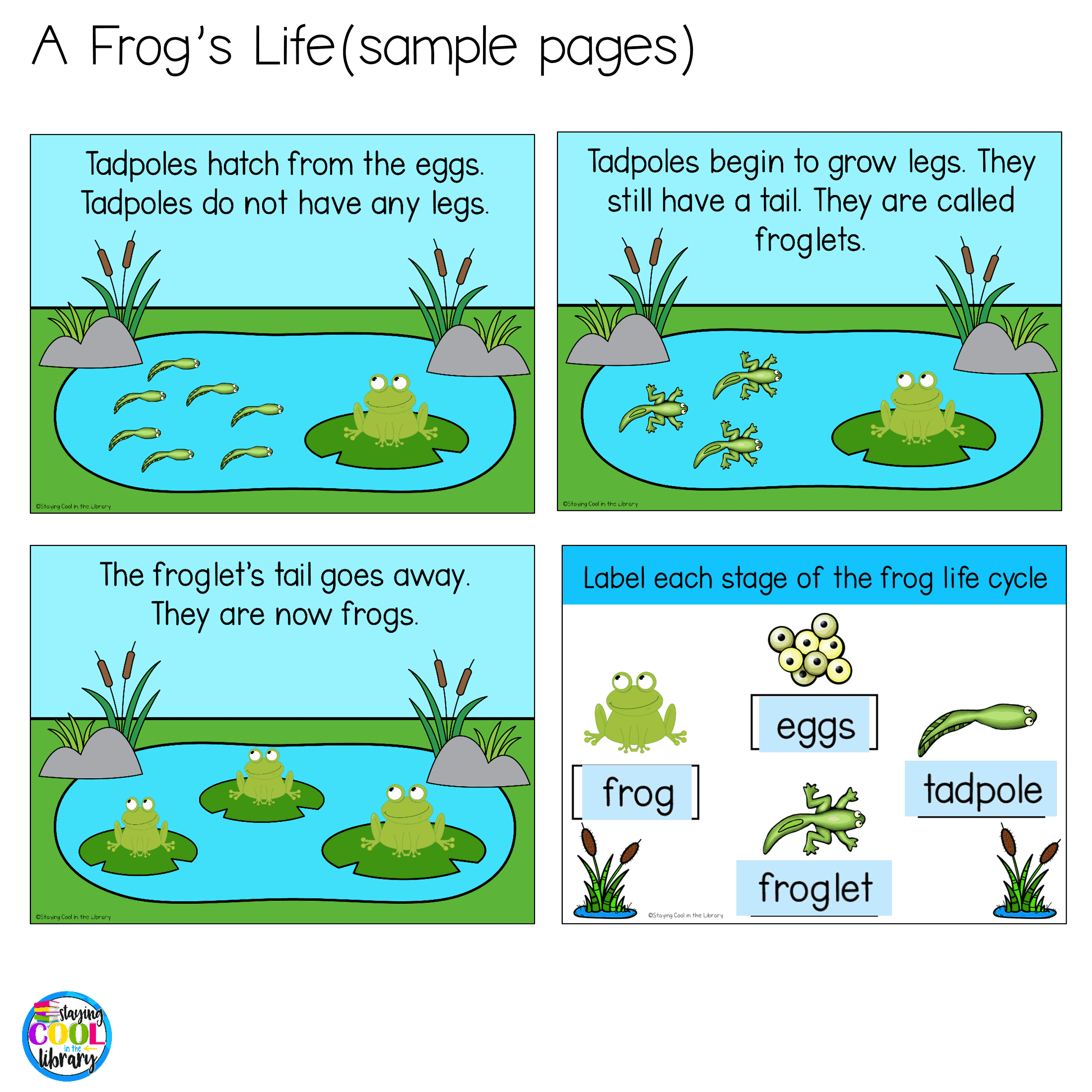 Pond Animals - Frog Life Cycle | Digital and Print Activities - Staying ...