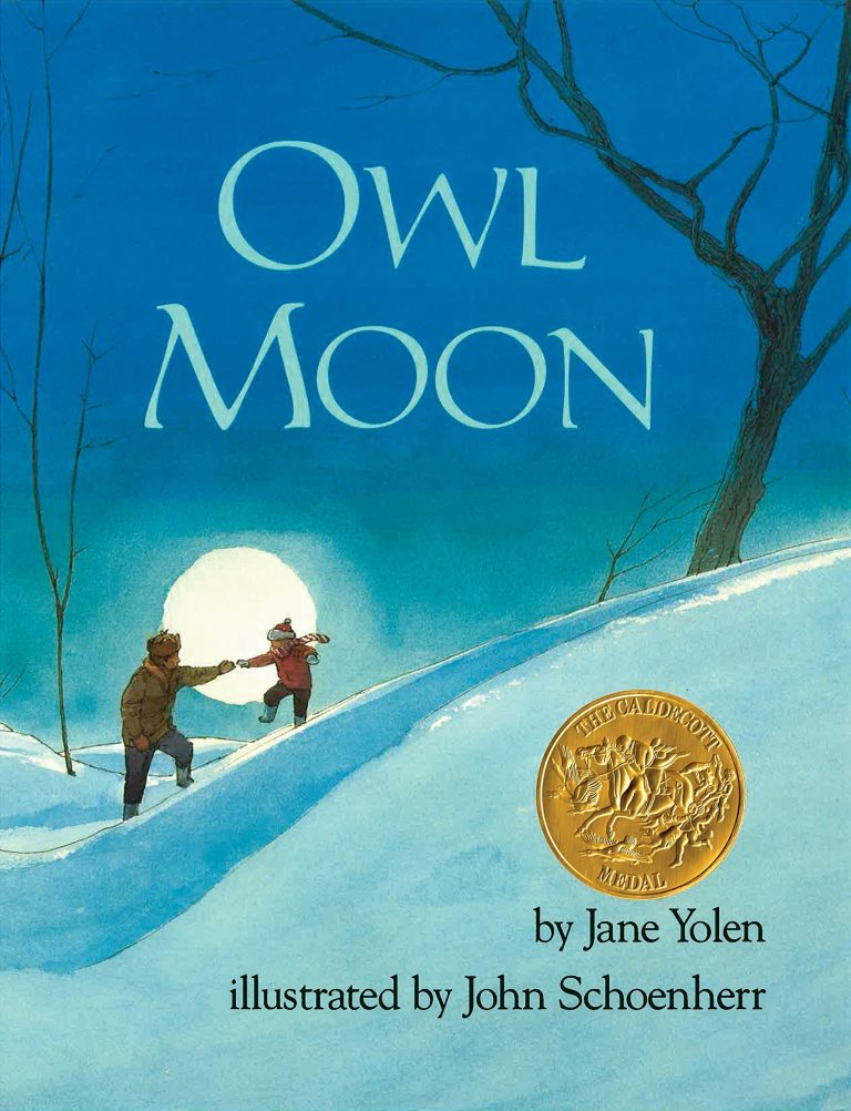 10 Picture Books for Teaching Visualizing - Staying Cool in the Library