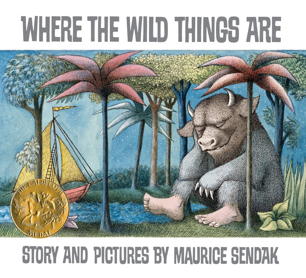 10 Picture Books for Teaching Visualizing - Staying Cool in the Library