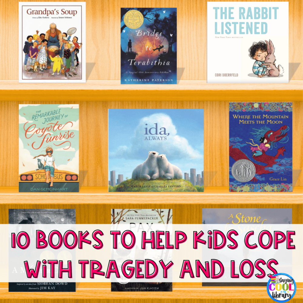 Blog - Staying Cool in the Library